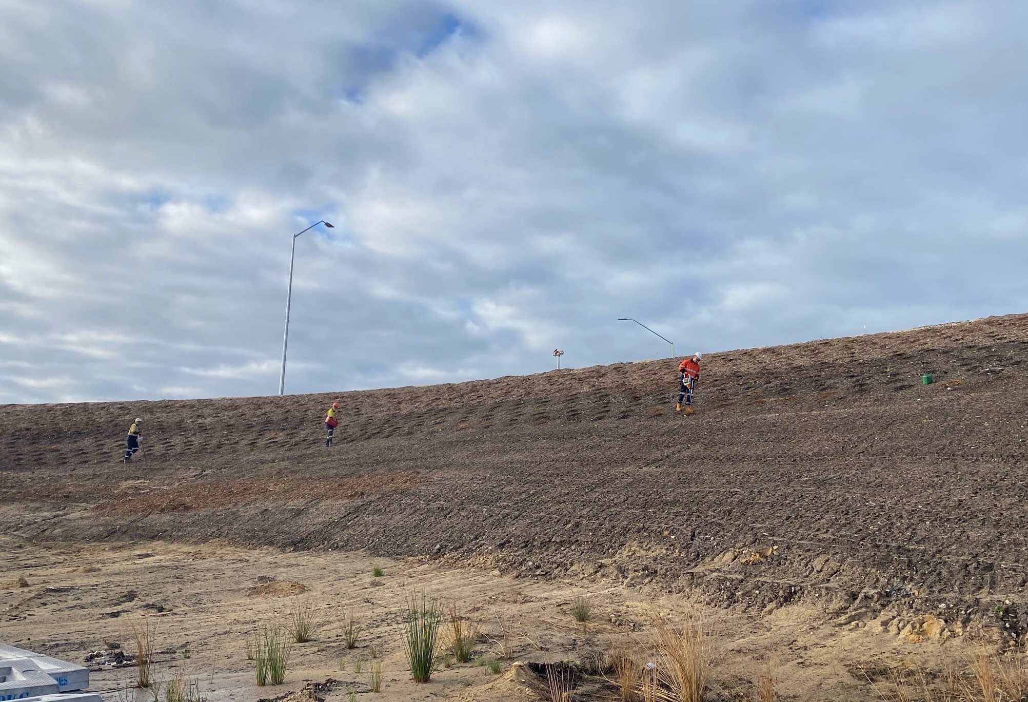 BORR 240724 Plantings Take Root At Raymond Road | Main Roads Western ...