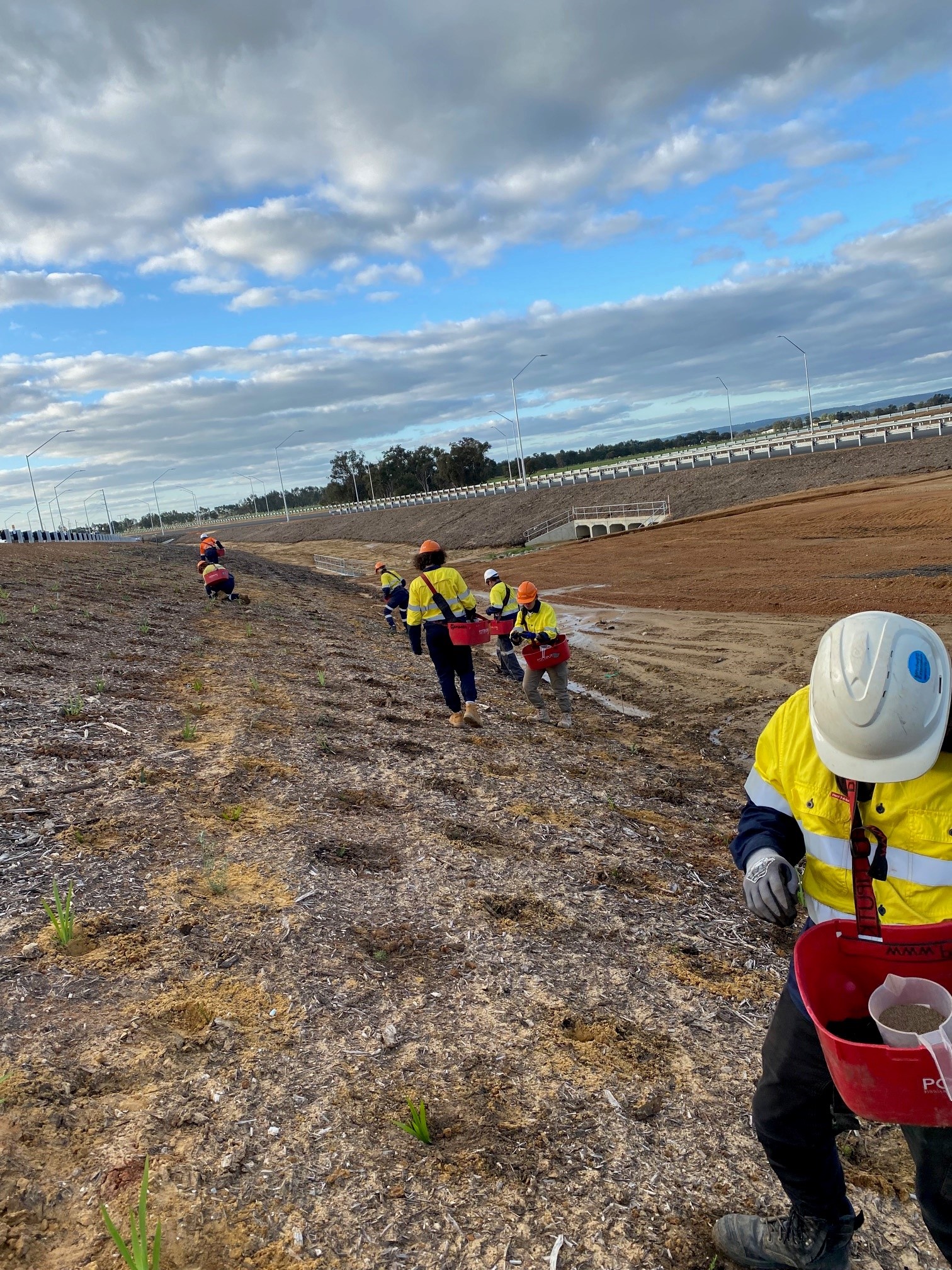 BORR 240724 Plantings Take Root At Raymond Road | Main Roads Western ...